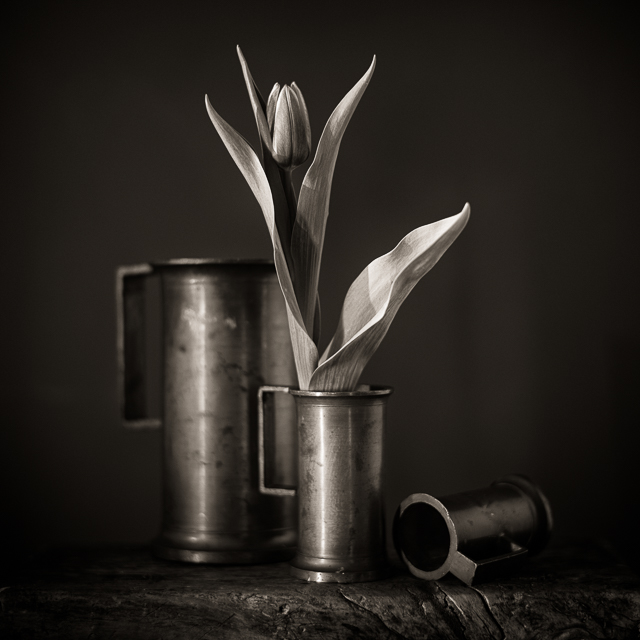 alan frost photography