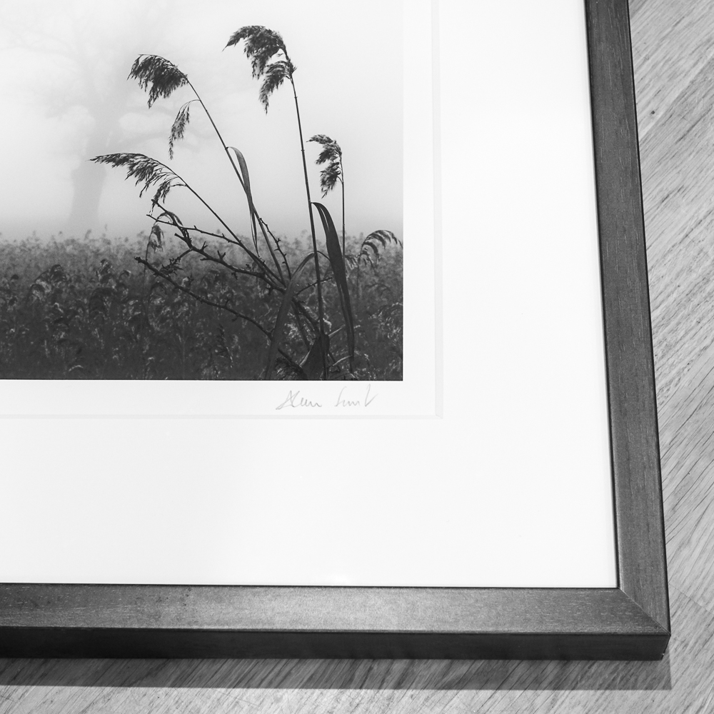 About | alan frost photography