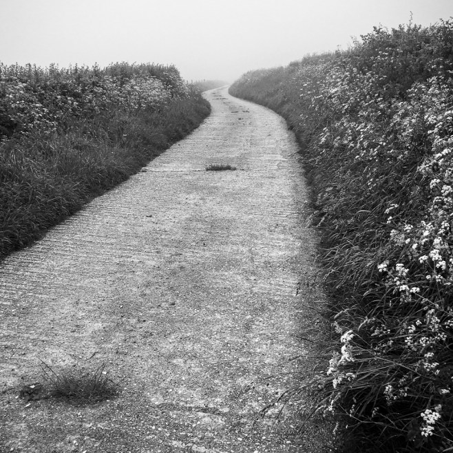 A walk in the Piddle Valley – what camera should I use? | alan frost ...