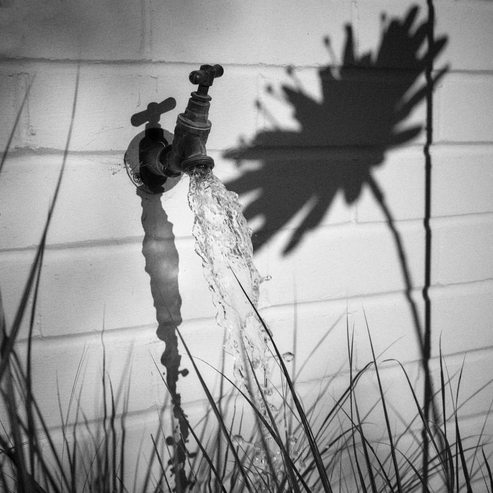 Eclectic Fun in ‘Lockdown’ ….Part 5 | alan frost photography