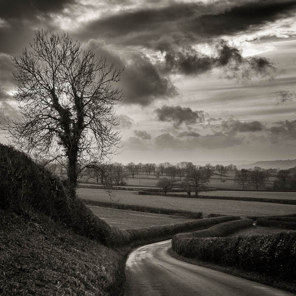 alan frost photography