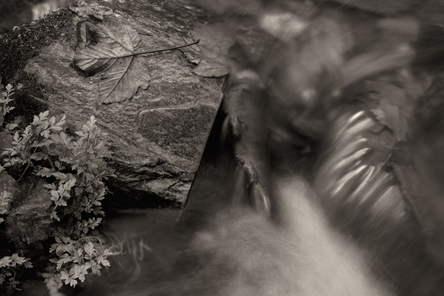 A Still retreat – a mindful approach to creative photography with Paul ...
