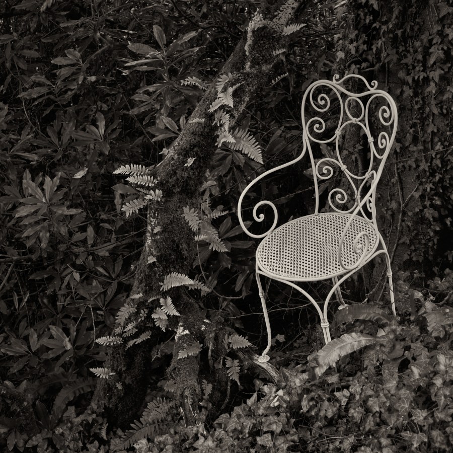 A Still retreat – a mindful approach to creative photography with Paul ...