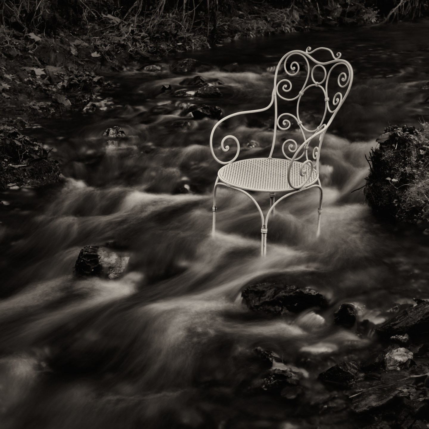 A Still retreat – a mindful approach to creative photography with Paul ...