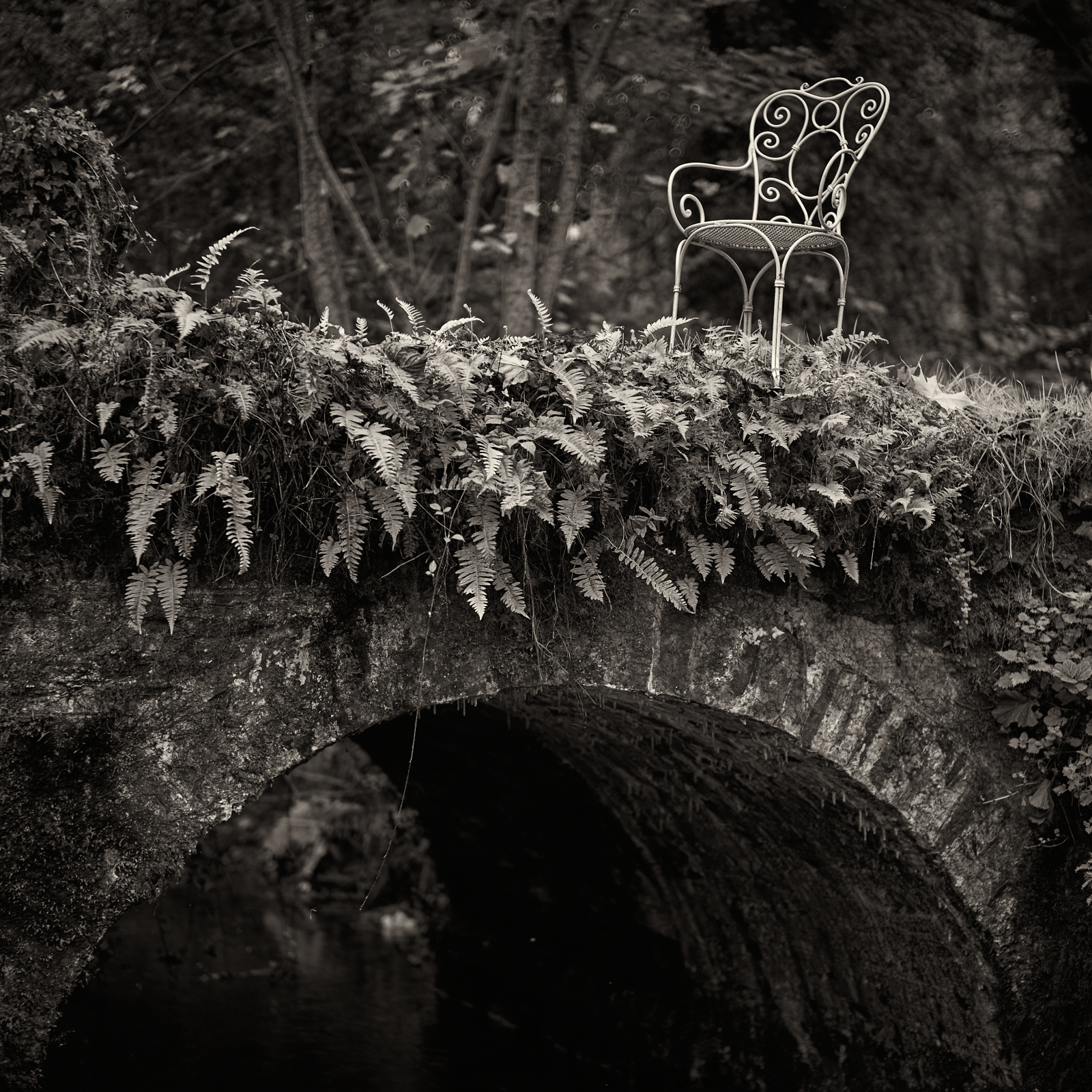 A Still retreat – a mindful approach to creative photography with Paul ...